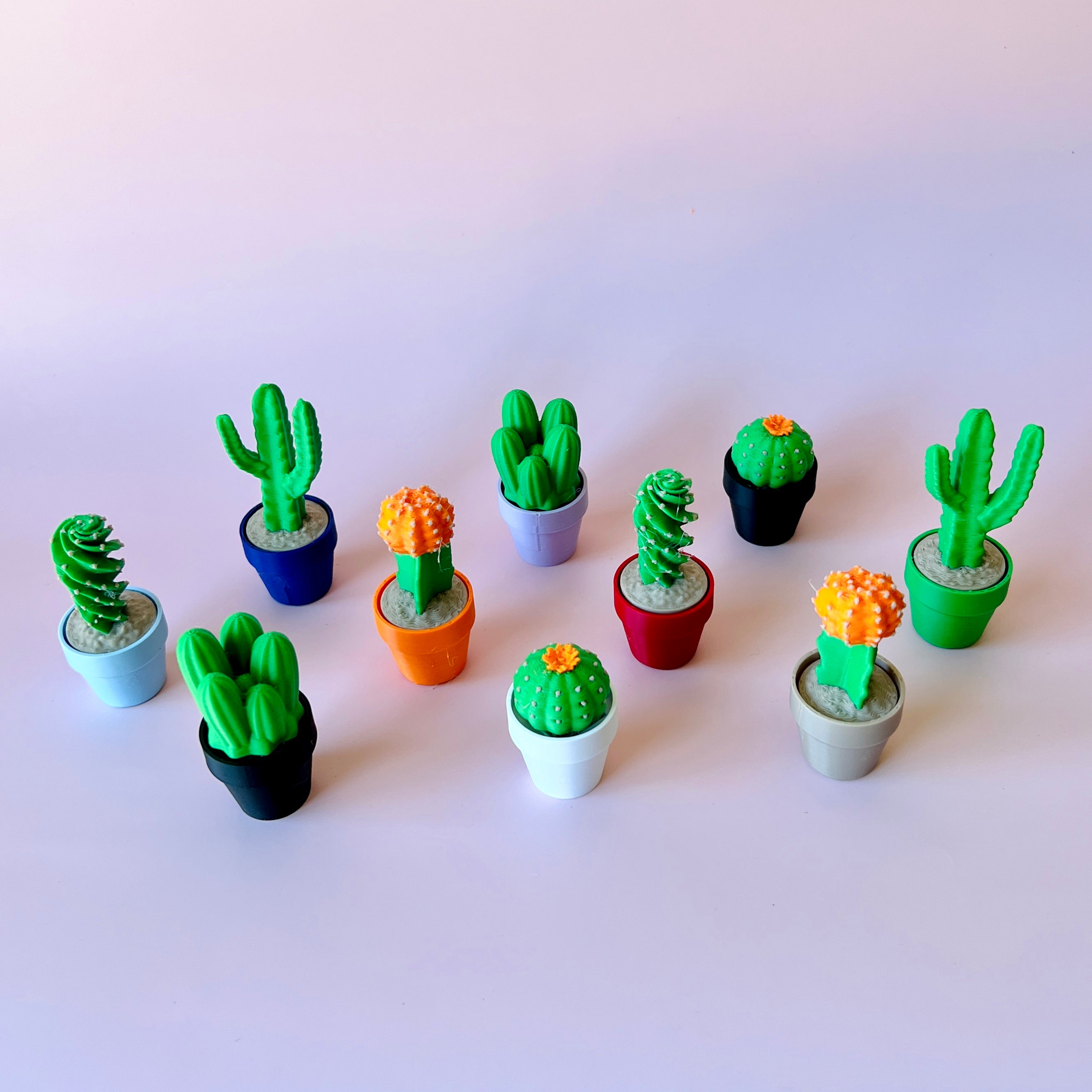 Set of 5 Cactus Clicker Plants – Full Collection of Fidget Toys with ...
